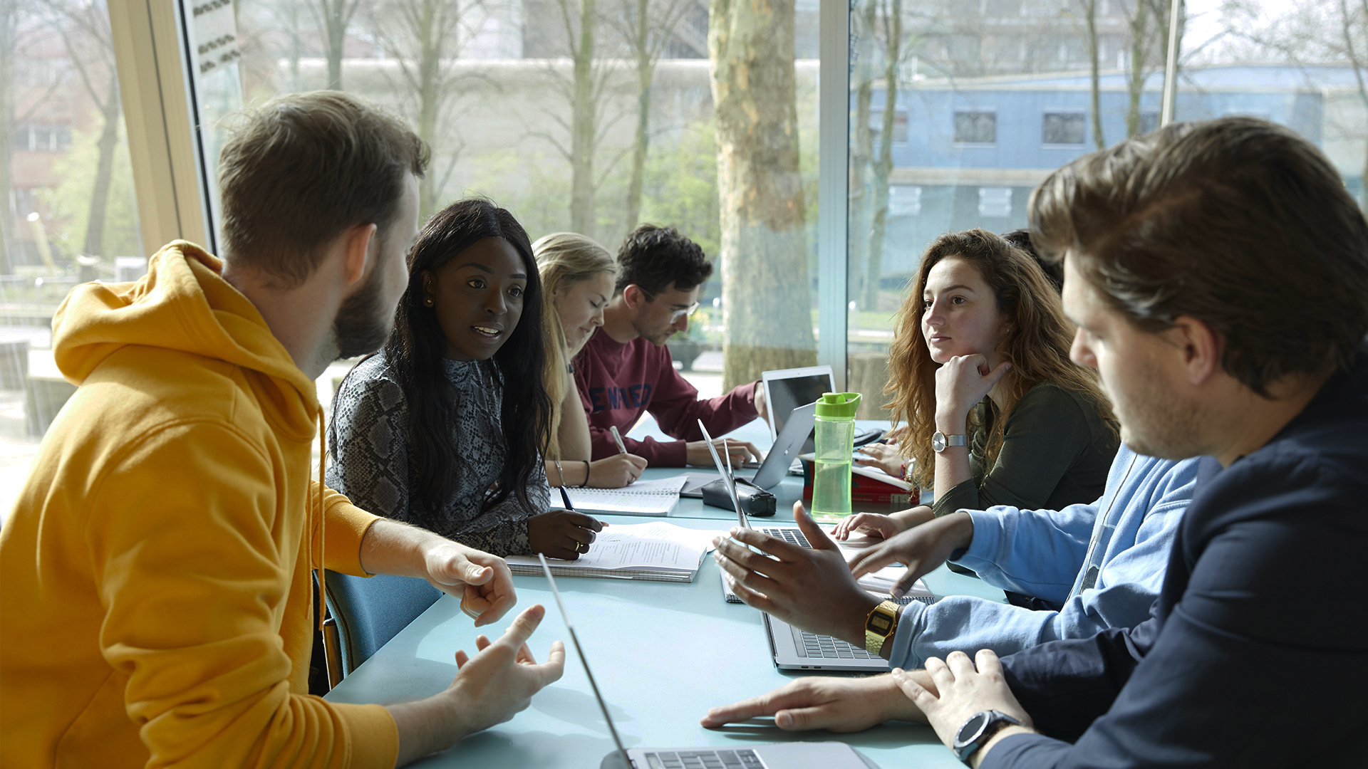 Wat is het Wft en waarom moet ik een Wft-diploma behalen? | SUSA
